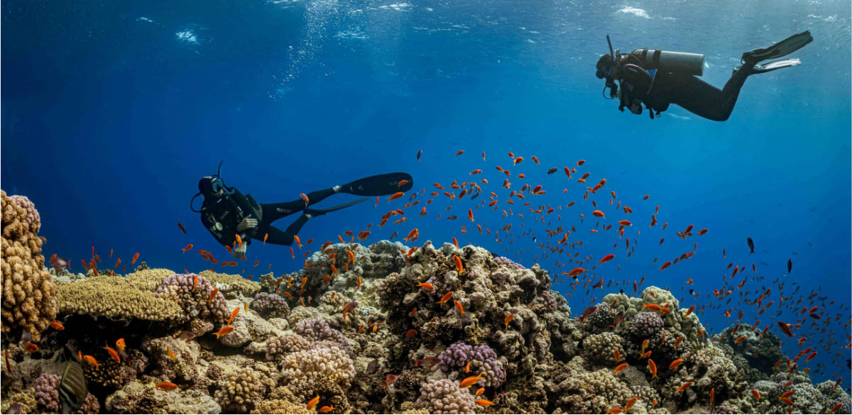 Dive into becoming a PADI Pro - The Islander Magazine